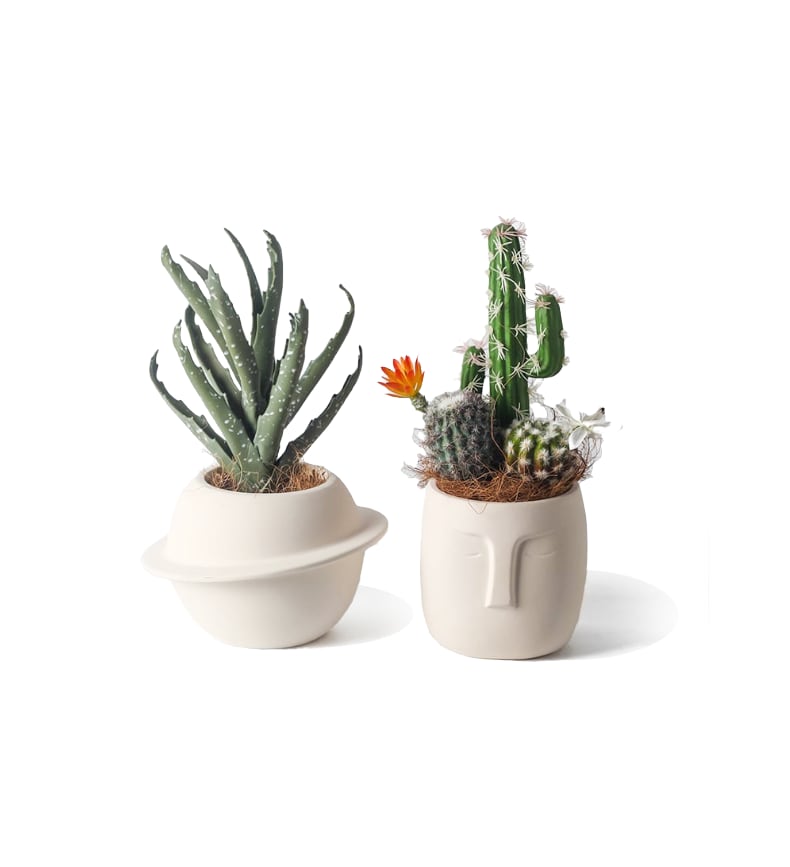 Pandora Set of 2 - Handmade Plant Pots Indoor / Outdoor Ceramics Beige ...